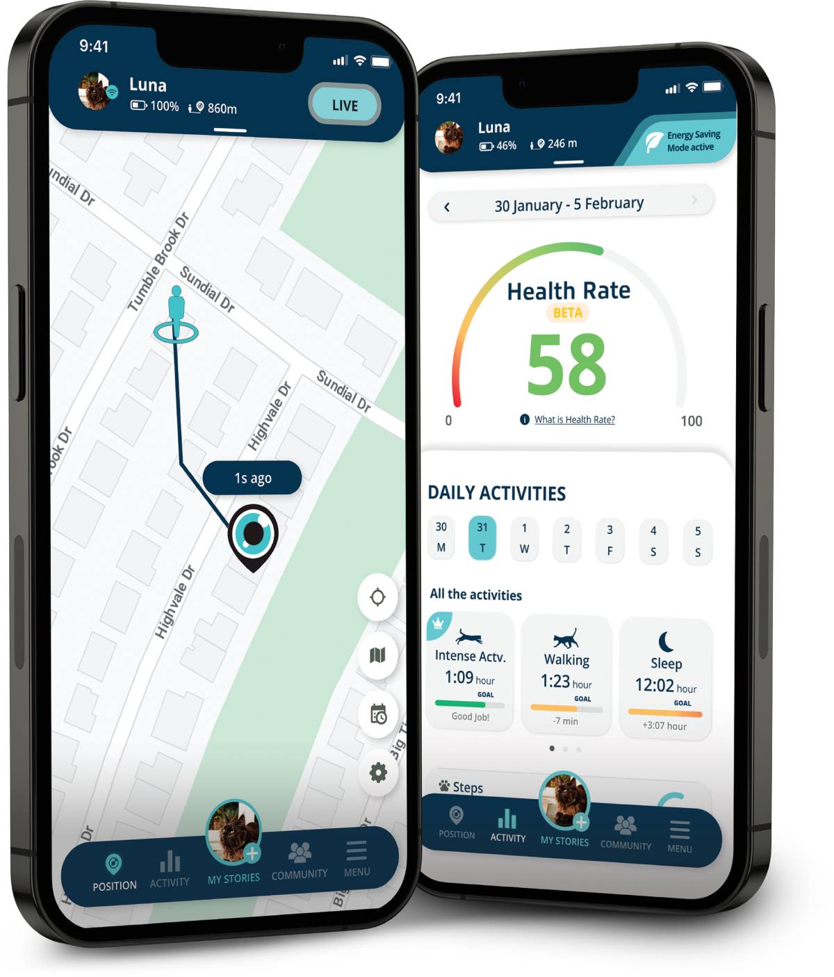 The Best GPS Collar and Tracker for Cats - Blog - PetLink