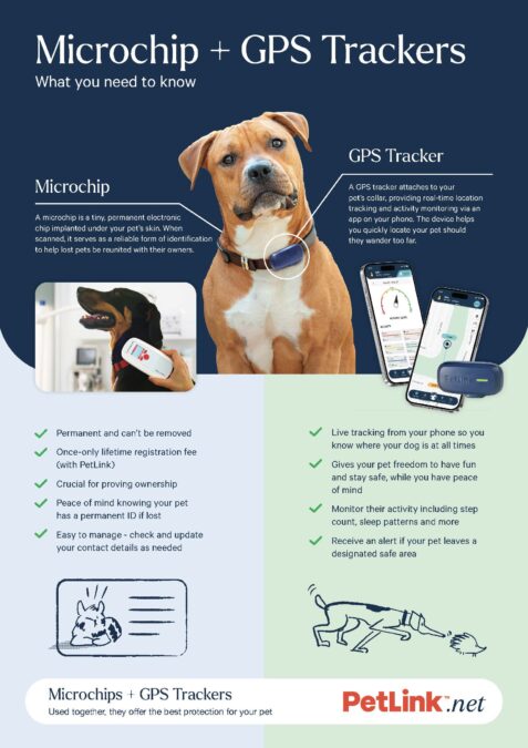 Benefits Of Having GPS Trackers & Microchips For Your Dog | Petlink