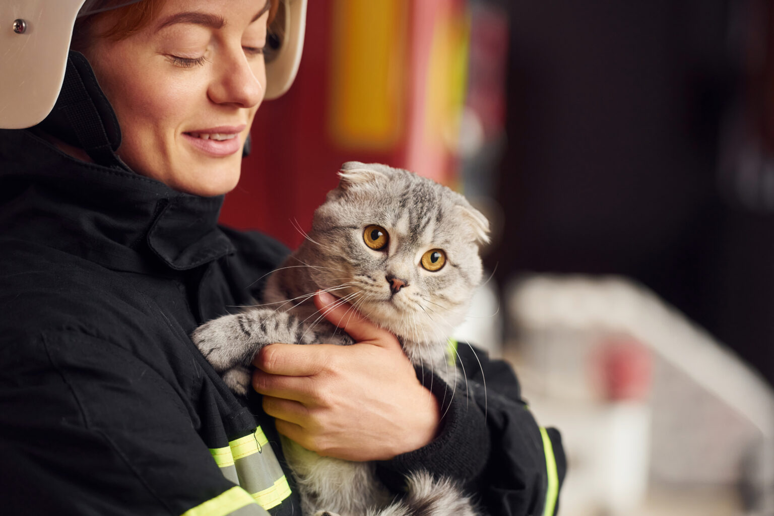 September is Preparedness Month: Be ready to protect your pet in any ...