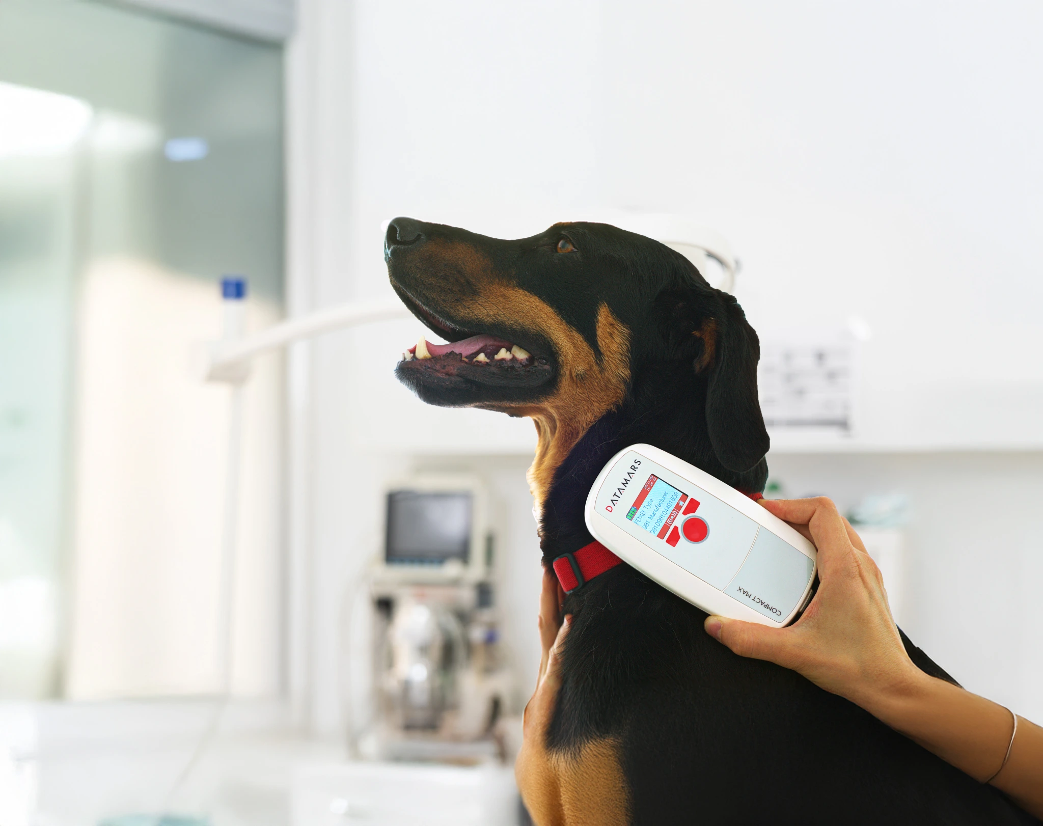 GPS vs Microchip vs Bluetooth: Your complete pet tracking technology ...